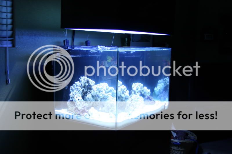 Modern Reef Aquariums - Page 3 - Reef Central Online Community