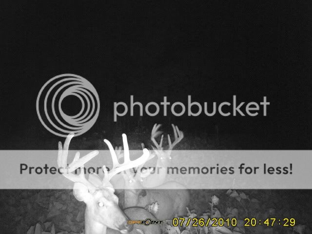 Tennessee 11 Point Down (New Breed Genetix draws blood) | Archery Talk ...