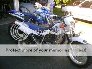 My 2001 TW | TW200 Forum