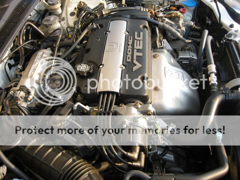 5th gen engine bay pics | Honda Prelude Forum