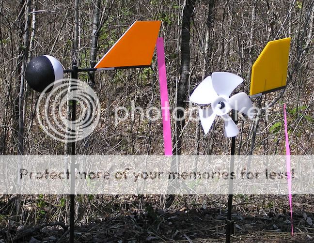 Flags | Rimfire Central Firearm Forum