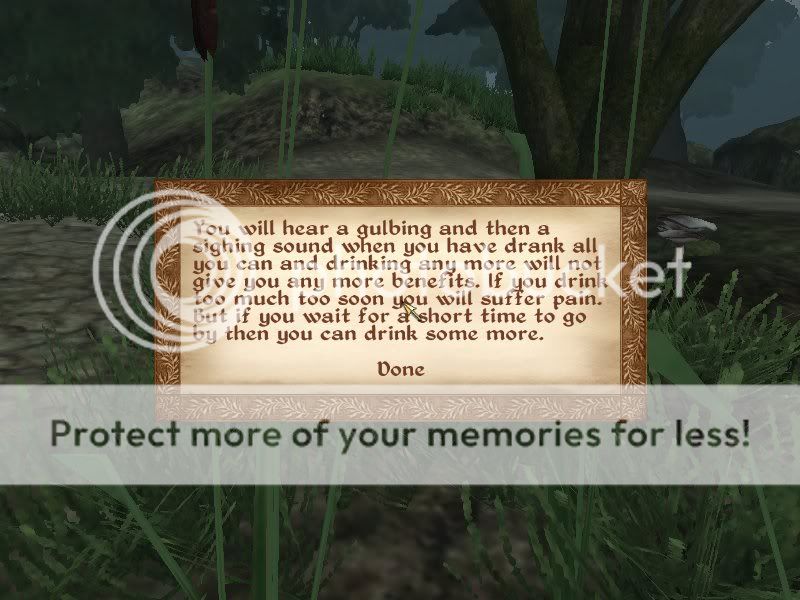 Day Six, Part Two: On the beaten path | Orcing In Oblivion