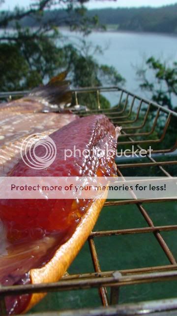 Help please: smoking roe - The Fishing Website : Discussion Forums