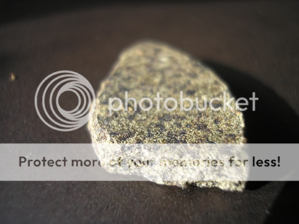 U roy's 350 minutes marathon in A'Dam - Amsterdam Coffeeshop Directory ...