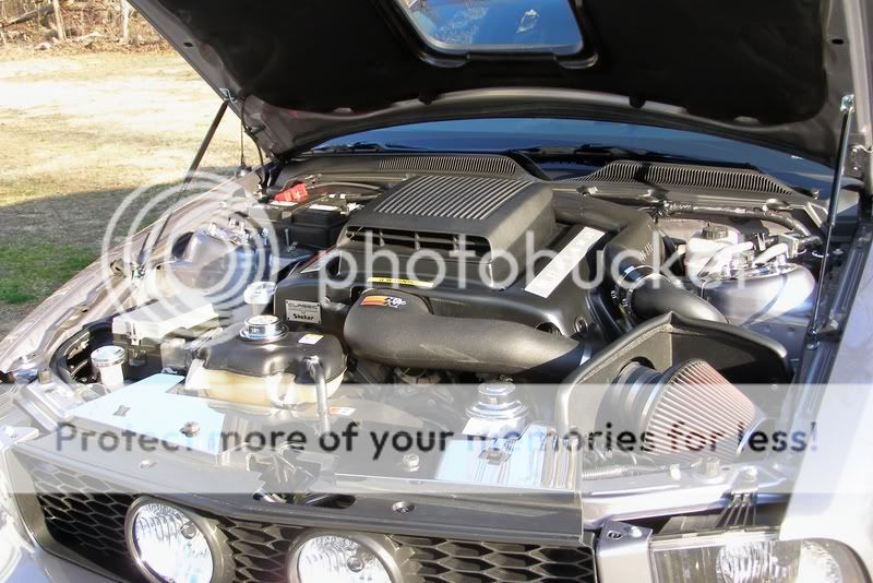 Shaker Hood System With C&L Intake | Ford Mustang Forum