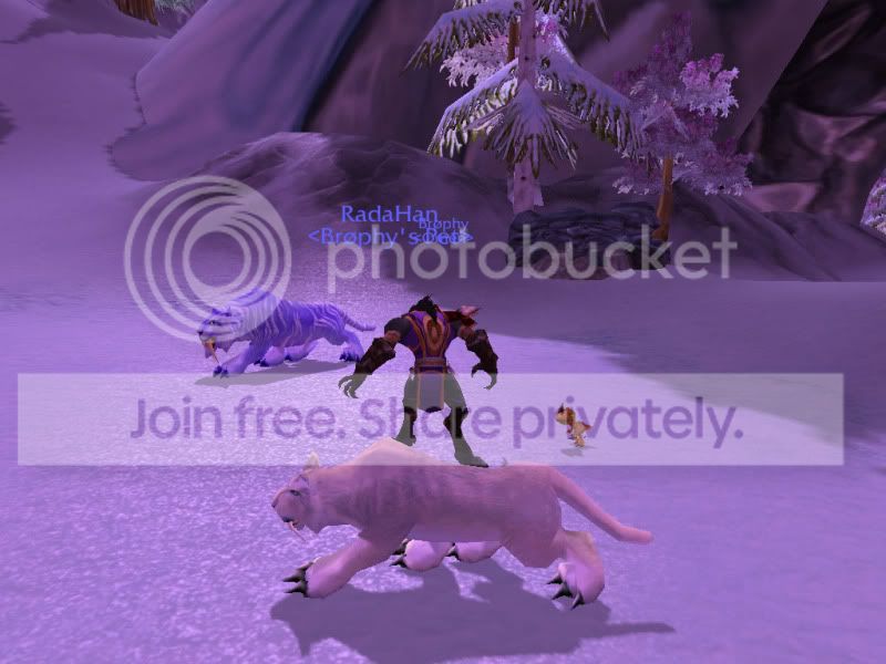 4.1 Frostsaber changes on live right now (for the most part) - WoW ...